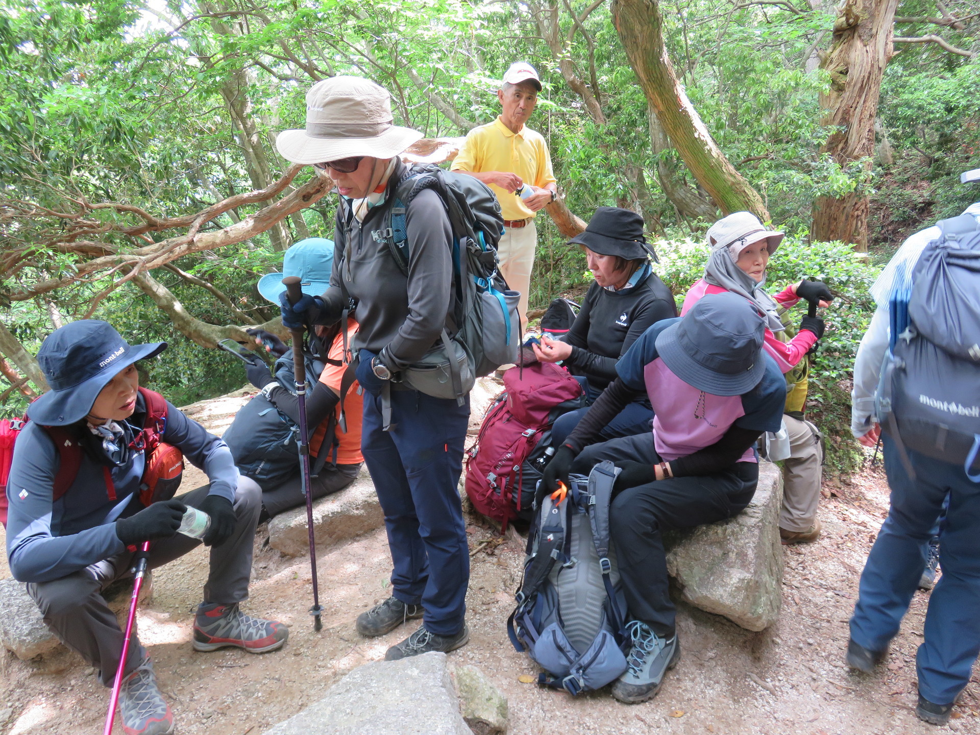 堂満岳 2023.05.28: 大阪ハイキング軽登山クラブ